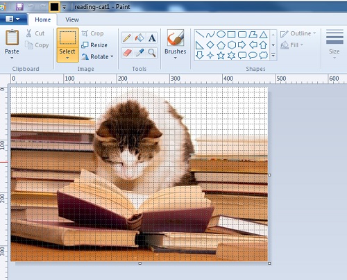 paint-with-grid – Cyn Mackley